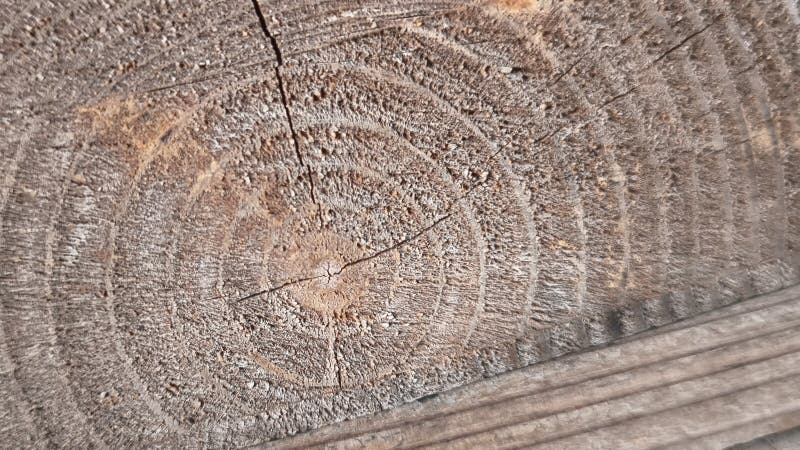 Old Wood Texture for Background. Stock Photo - Image of yellow ...