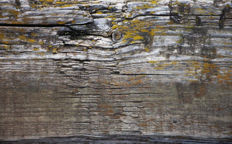 Paint the Hammered Together Fence Stock Photo - Image of desk, burnt ...