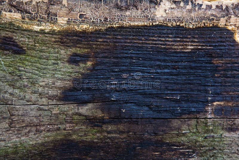 5,883 Charred Wood Texture Stock Photos - Free & Royalty-Free Stock ...