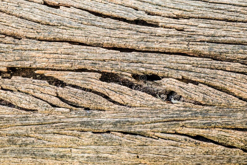 Old wood texture stock photo. Image of abstract, lining - 80180194