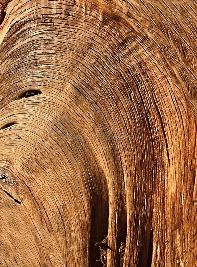 456 Grudge Pattern Texture Stock Photos - Free & Royalty-Free Stock ...