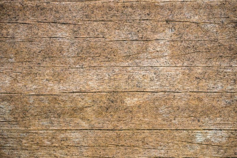 Old wood texture. stock image. Image of grunge, template - 128917753