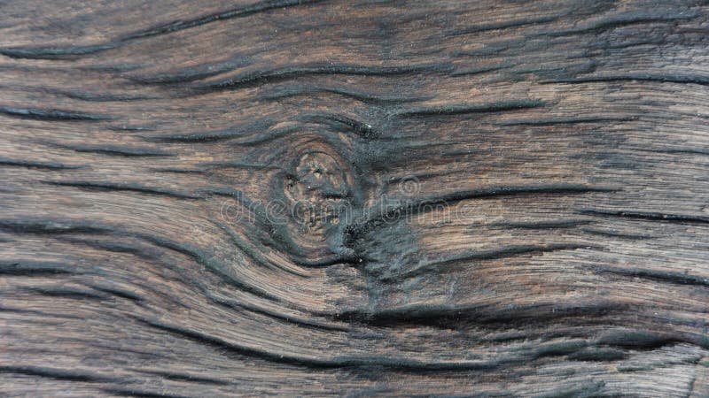 The Old Wood Grain Texture Resembles a Beautiful Eye Shape Stock Image ...
