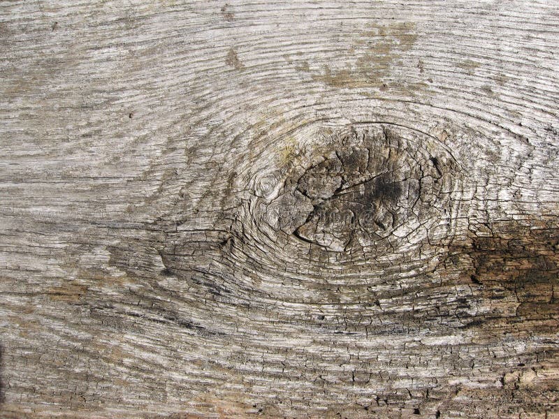 Old wood texture stock image. Image of pattern, brown - 76486639