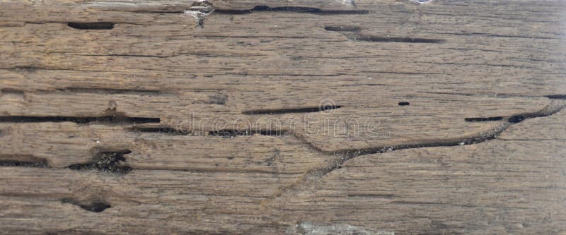 Old Wood Texture, the Surface of the Material Change Over Time a Stock ...