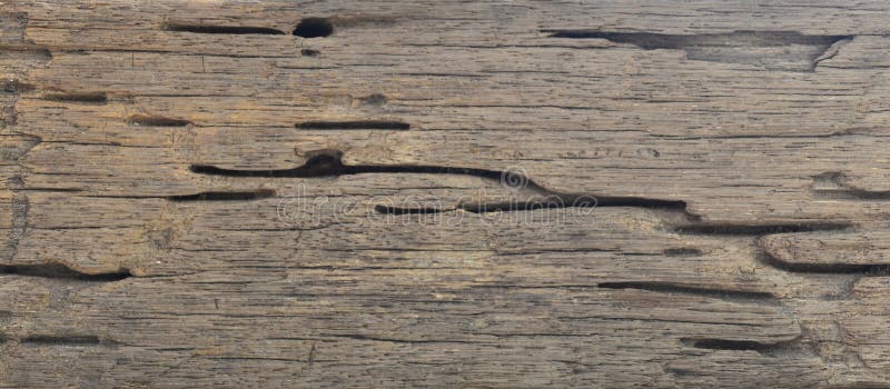 Old Wood Texture, the Surface of the Material Change Over Time a Stock ...