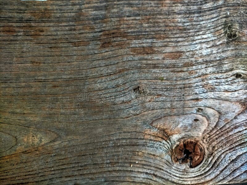Old Wood Texture Take from Top View Stock Image - Image of tree ...