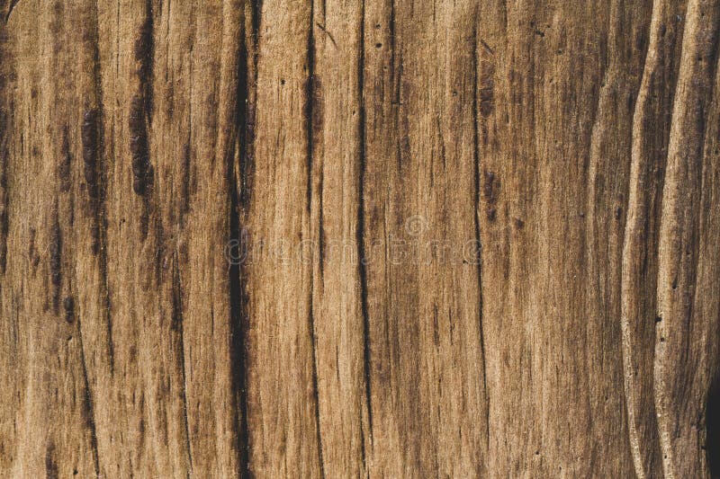 Old Wood Texture, Top View, Text Space Stock Image - Image of grunge ...