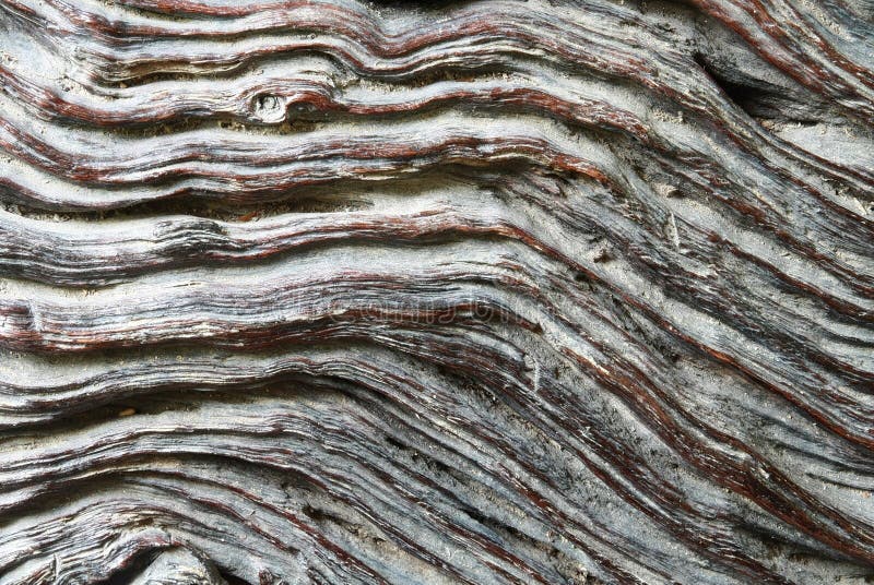 Ruin wood plank wall stock photo. Image of floor, panel - 35087246