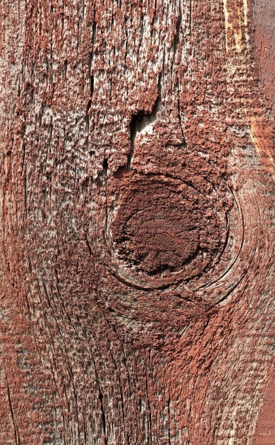 Old wood timber texture stock photo. Image of painted - 31698614