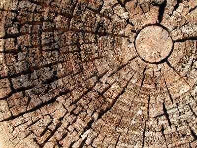 Old Wood Tree Rings Texture Stock Image - Image of circles, backgrounds ...