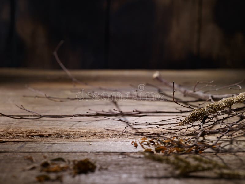 Old Wood with twigs stock photo. Image of pine, building - 70667684