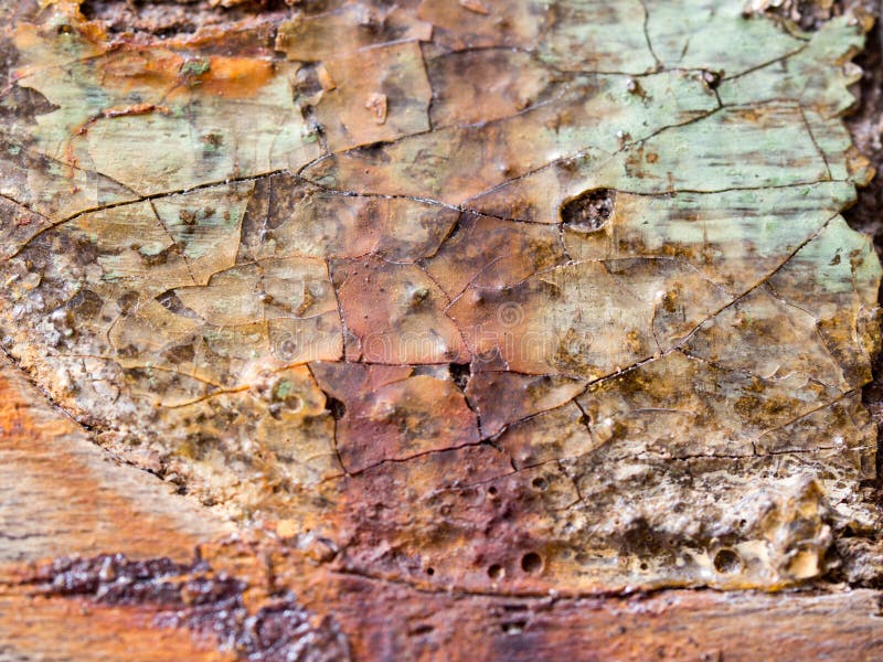 877 Rusty Sticks Stock Photos - Free & Royalty-Free Stock Photos from ...