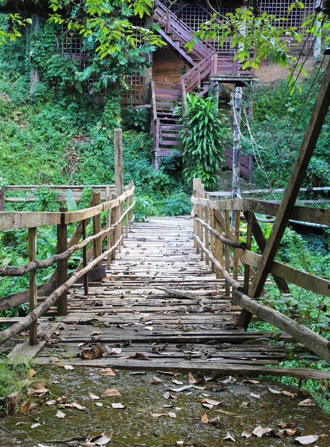 Wood Walkway and Step in Forest Stock Photo - Image of fall, bridge ...