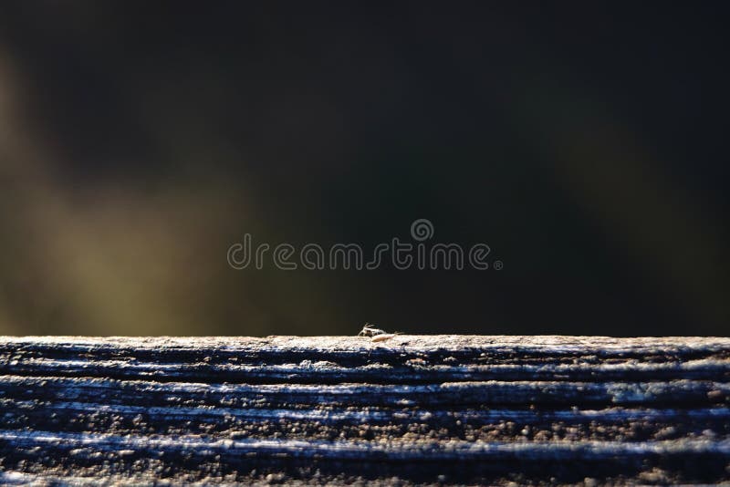 Old Wood Weather Warn Wood with Nail Outdoors Texture Stock Photo ...