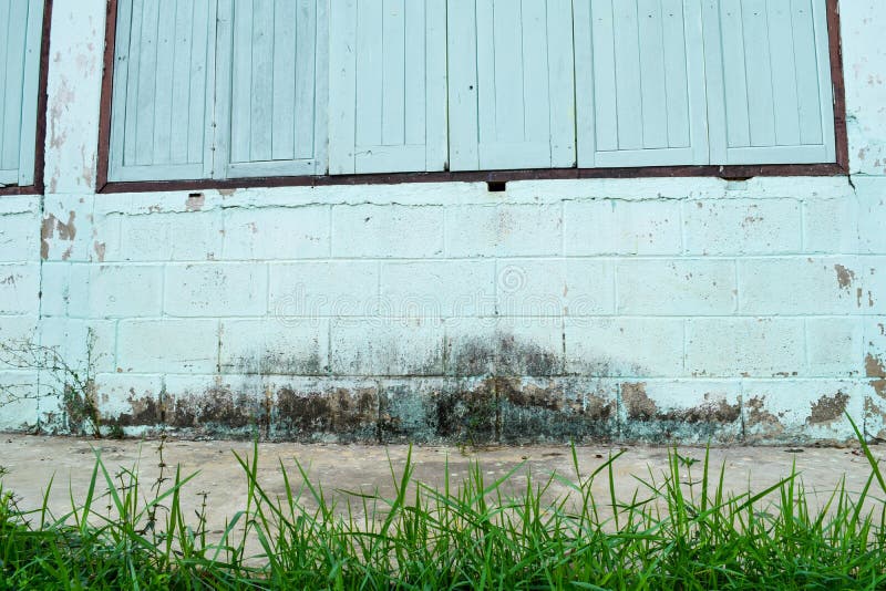 Old Wood Windows on White Wall Stock Image - Image of background, grass ...