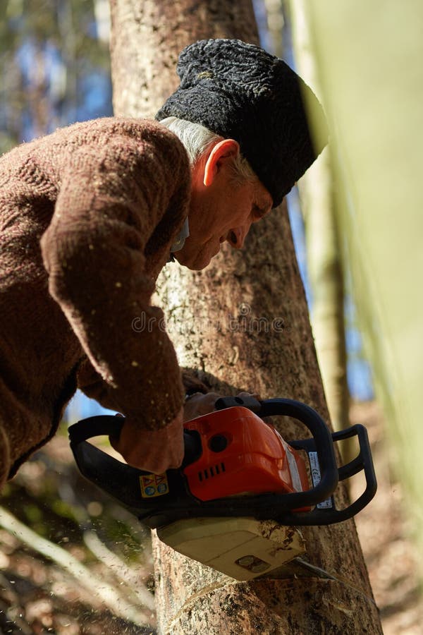 Old Woodcutter at Work with Chainsaw Stock Image - Image of industry ...