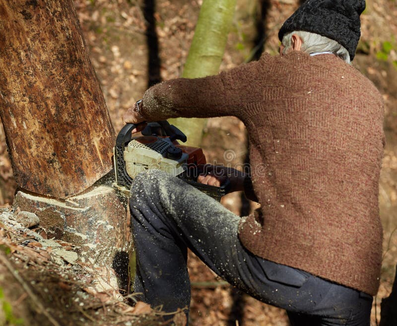 Old Woodcutter at Work with Chainsaw Stock Photo - Image of caucasian ...