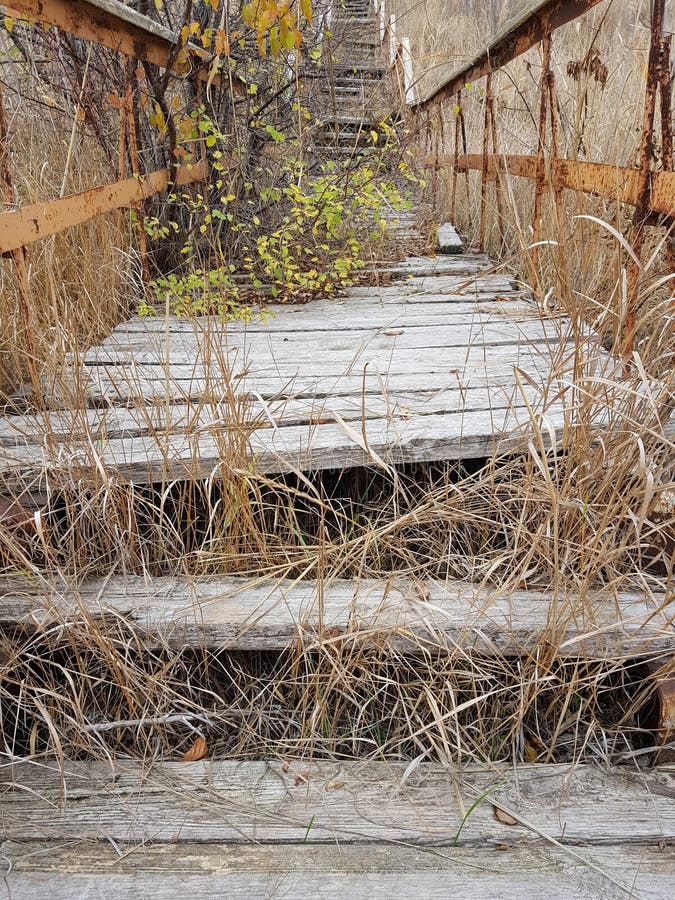 Autumn Walk Along an Abandoned Bridge Stock Photo - Image of outside ...