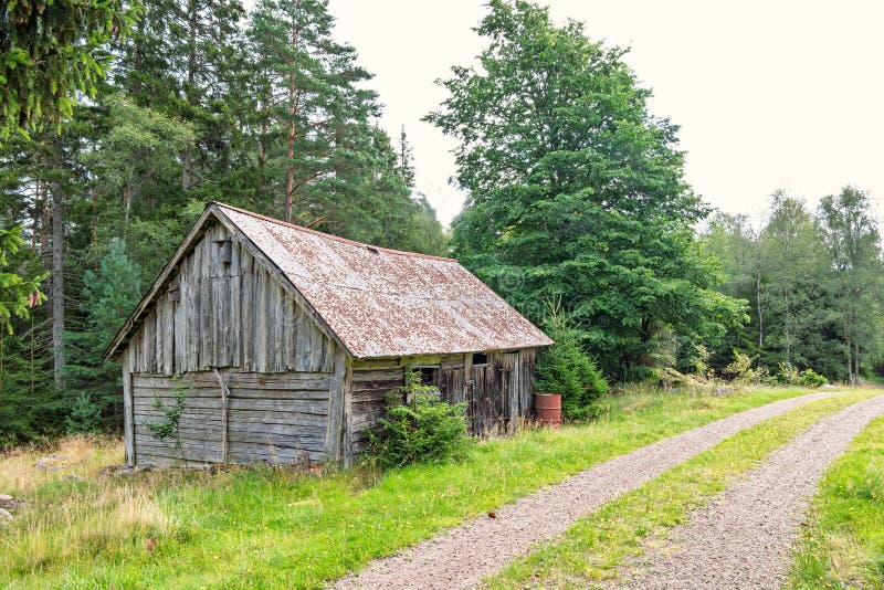Old Wooden Barn by the Roadside at a Dirt Road in a Forest Stock Photo ...