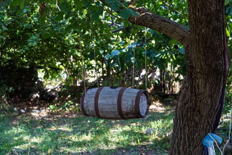 Old Wooden Barrel Hanging on a Tree Branch in a Park Stock Photo ...