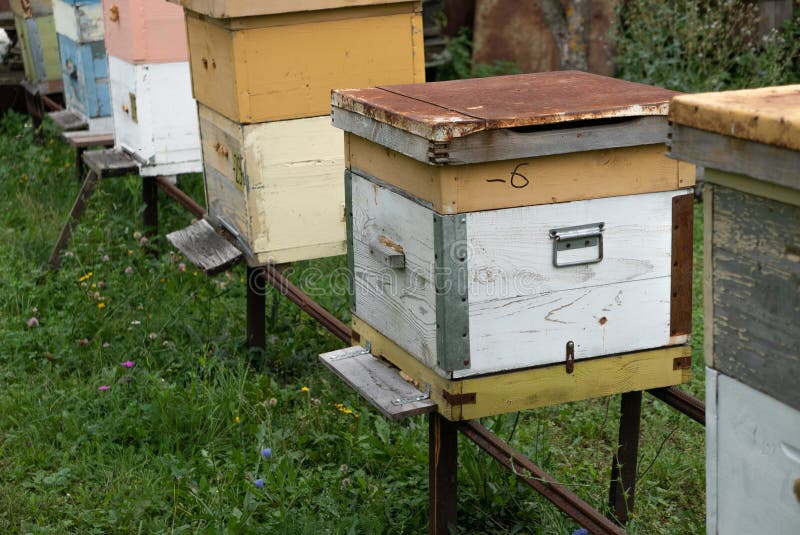 Old Wooden Beehive on a Bee Farm Stock Image - Image of flight, apiary ...