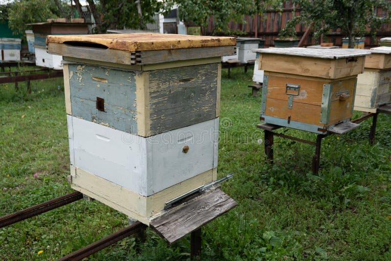 Old Wooden Beehive on a Bee Farm Stock Photo - Image of hive ...