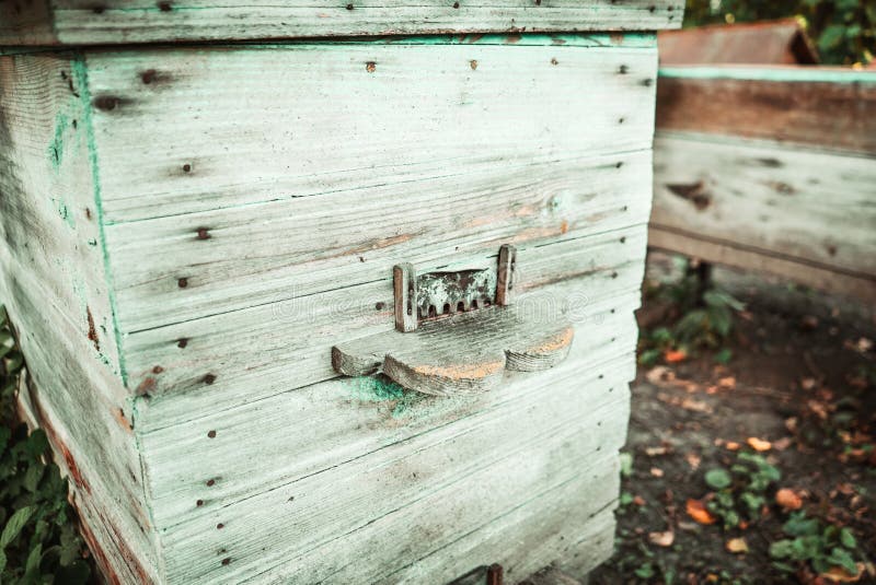 Old Wooden Beehive with Bees Stands in the Apiary Stock Image - Image ...