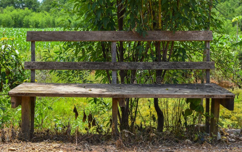 Old Wooden bench stock photo. Image of bench, antique - 73630584