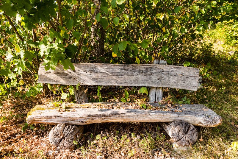 Old wooden bench in forest stock image. Image of aged - 78582247
