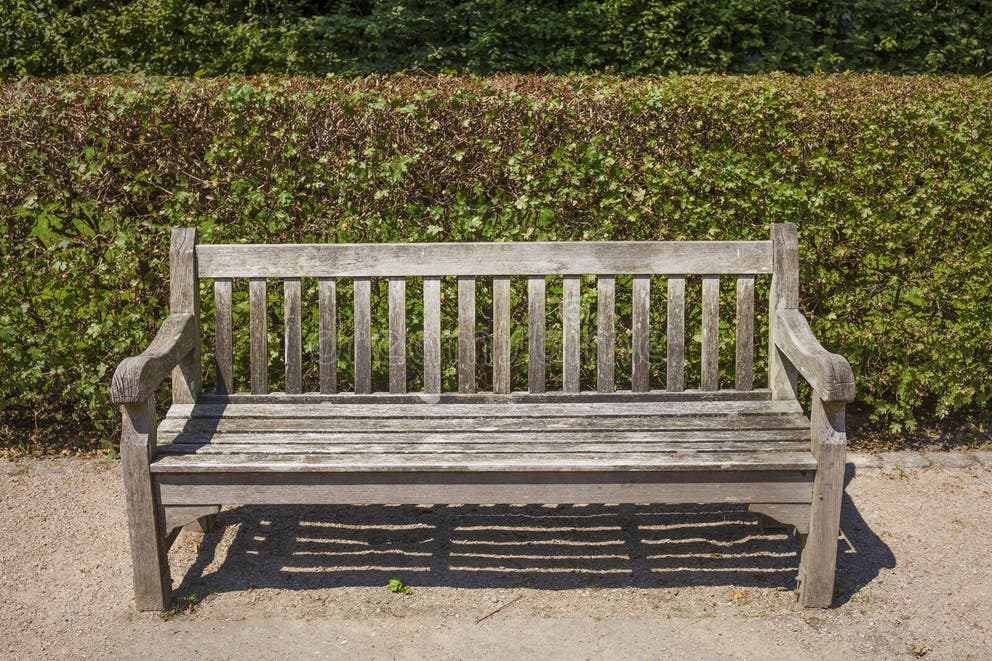 Old wooden bench in a park stock image. Image of green - 330889341