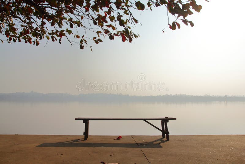 Old Wooden Bench Under the Branches beside River in the Morning Stock ...