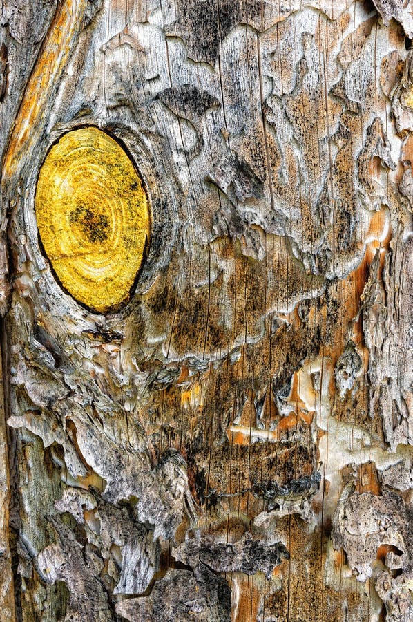 Old Wooden Board Texture Background Close Up Stock Photo - Image of ...