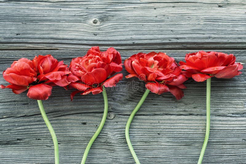 Old Wooden Boards with Red Flowers Stock Photo - Image of blank, flower ...