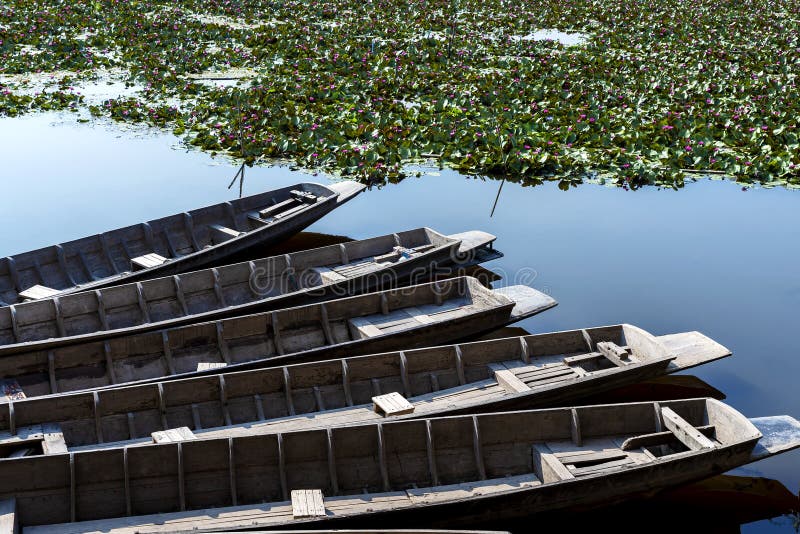 Old wooden boat stock image. Image of nature, landscape - 140445673