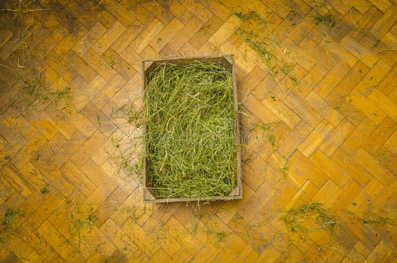 Old wooden box stock image. Image of advertise, empty - 60755839