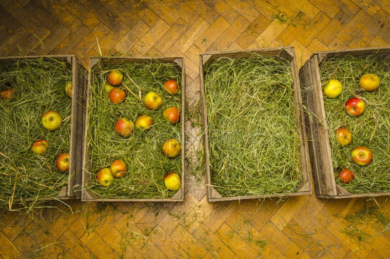 Old Wooden Boxes and Apples Stock Image - Image of copy, floor: 60755971