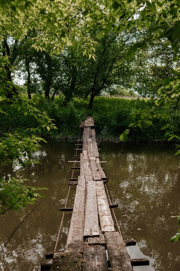 A Small Wooden Bridge Over a Mild Stream in a Green Park. Stock Image ...