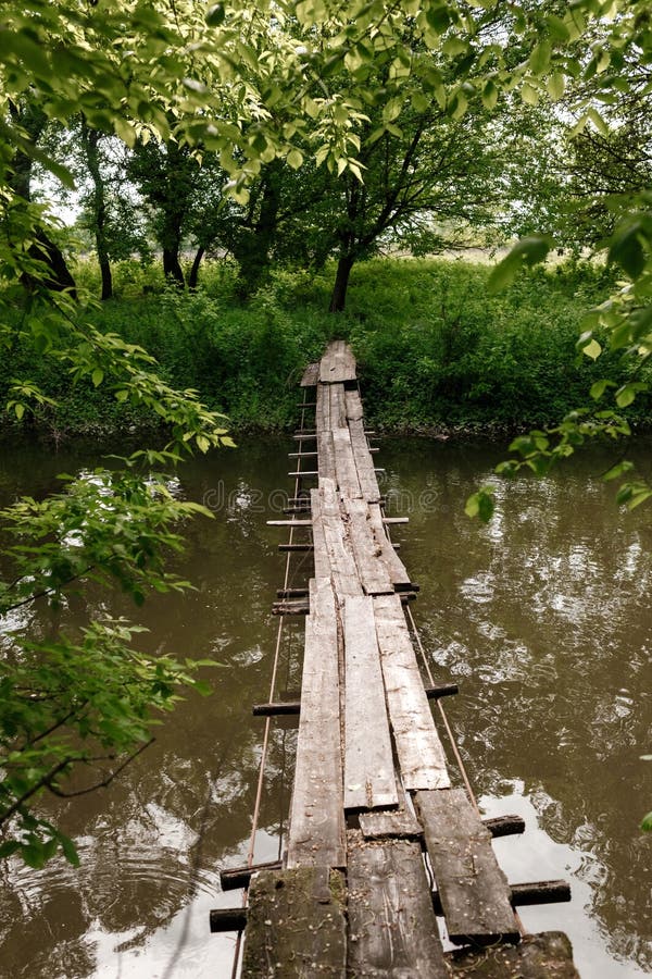 A Small Wooden Bridge Over A Mild Stream In A Green Park. Stock Photo ...