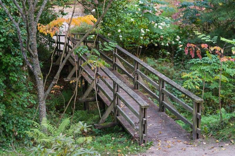 Old Wooden Bridge in the Autumn Forest Stock Photo - Image of bridge ...
