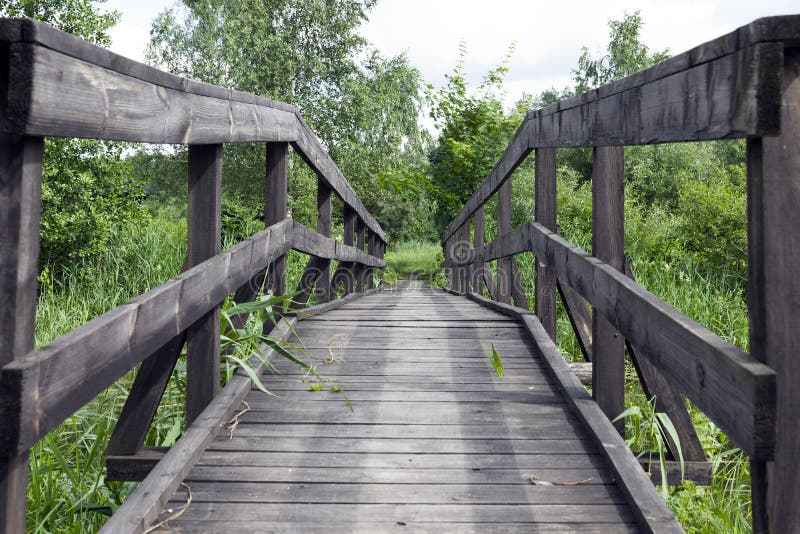 Old Wooden Bridge Built on the Lake Stock Image - Image of islands ...