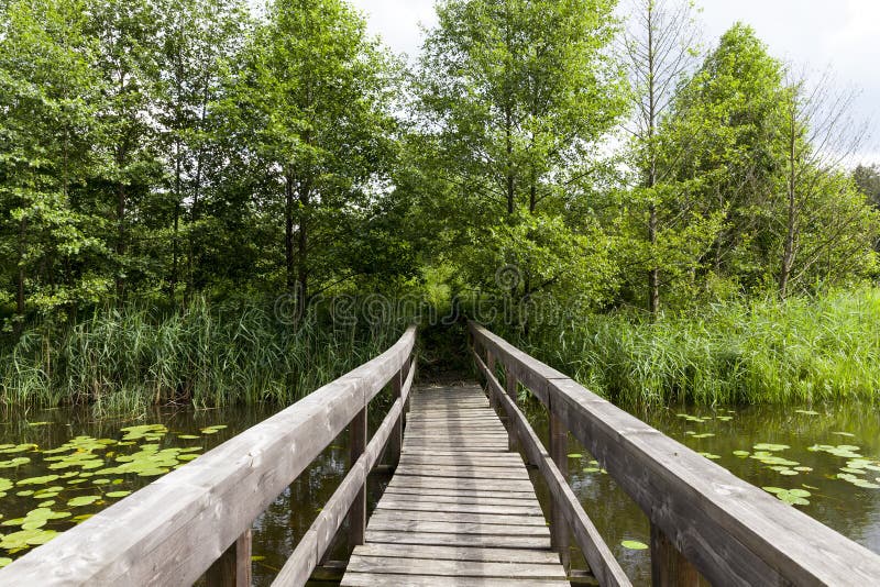 Old Wooden Bridge Built on the Lake Stock Image - Image of footbridge ...