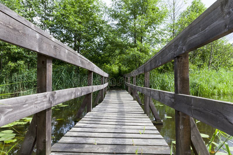 Old Wooden Bridge Built on the Lake Stock Image - Image of footpath ...