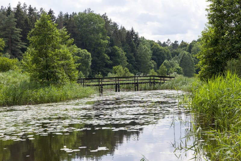 Old Wooden Bridge Built on the Lake Stock Image - Image of nature ...
