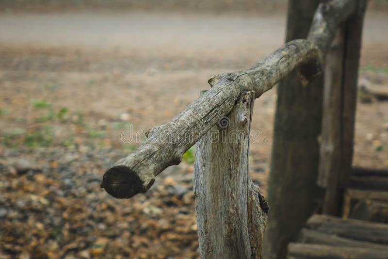 The Old Wooden Bridge Bridge Collapse Bridge Across the River Stock ...