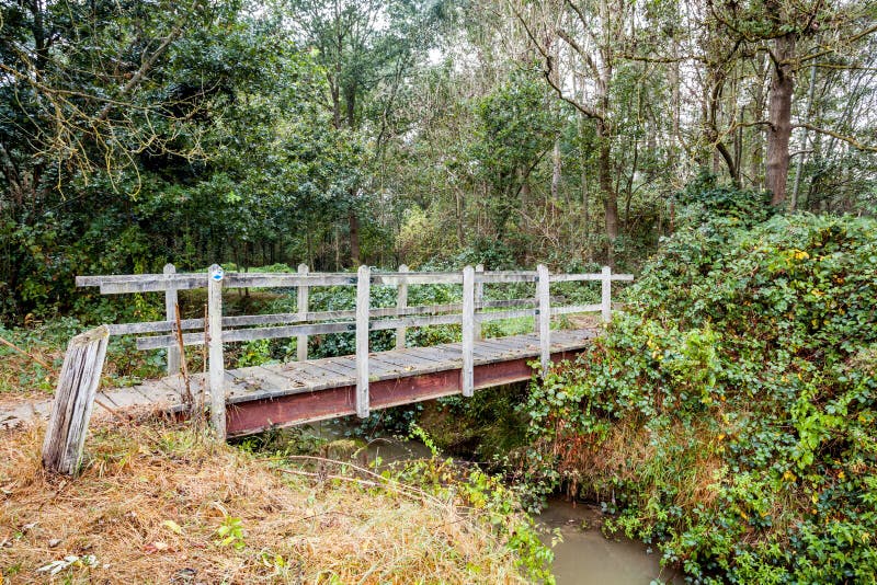 Wooden bridge over a ditch stock image. Image of forest - 126985953