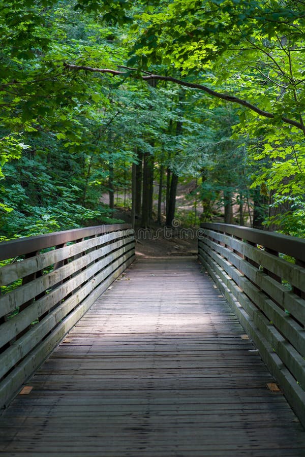 Old Wooden Bridge Leading To the Beautiful Pathway through the Dense ...