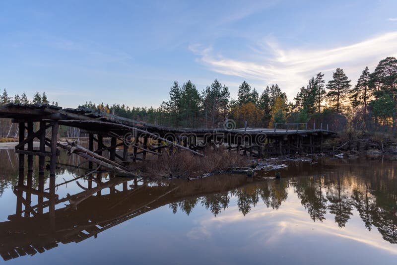 Old Wooden Bridge Over the River in the Forest Stock Photo - Image of ...