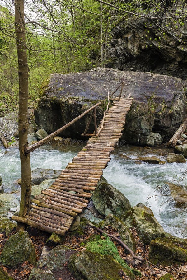 Old Wooden Bridge Over a River in the Forest . Stock Photo - Image of ...