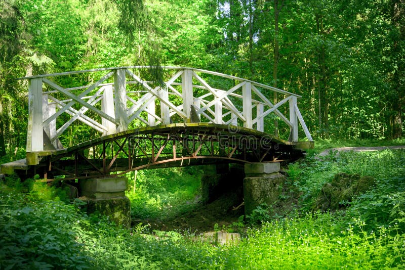 Old wooden bridge stock photo. Image of park, forest - 176374812